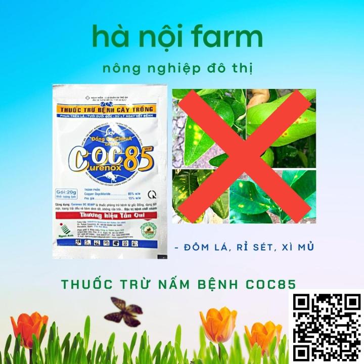 Thuốc Trừ Bệnh Coc85 WP (Gói 20g), thuốc trừ bệnh gốc đồng COC 85 1 gói ...