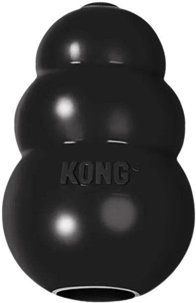 Kong USA Extreme Dog Chew Toy | Lazada PH
