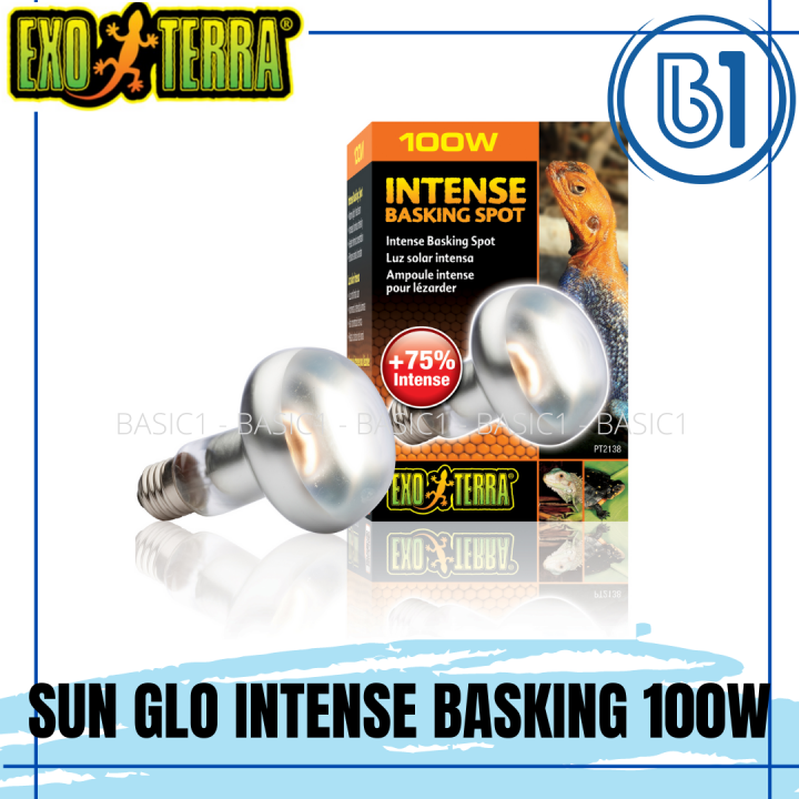 Exo Terra Sun Glo Intense Basking Spot Lamp 100W | Lazada PH