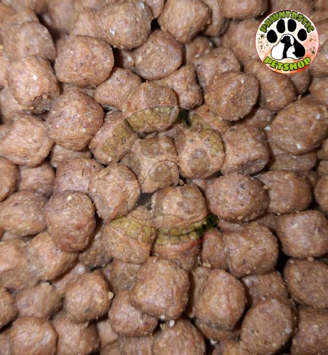 Beef Pro Dog Dry Food Puppy 1kg [100% FRESHLY REPACK] | Lazada PH