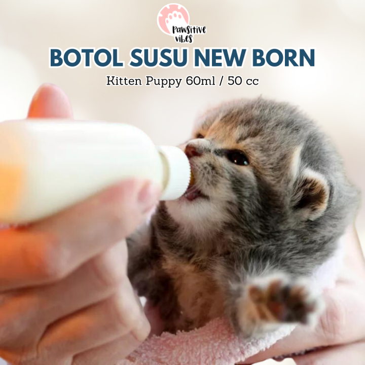 Botol Susu 60ml untuk Anjing Kucing New Born - Kucing Anjing Baru Lahir ...