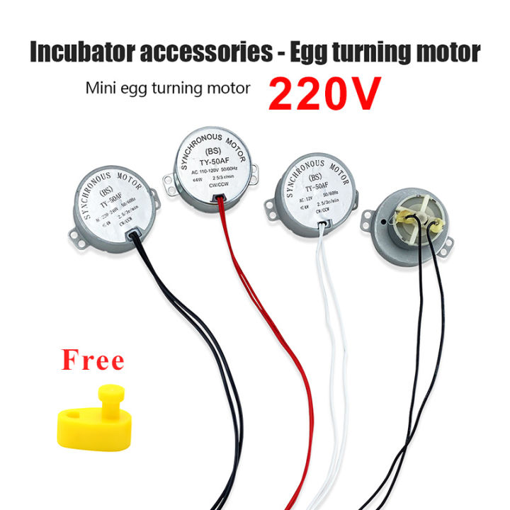 220V Synchronous Egg Turner Motor Mini Incubator Motor for Chickens ...