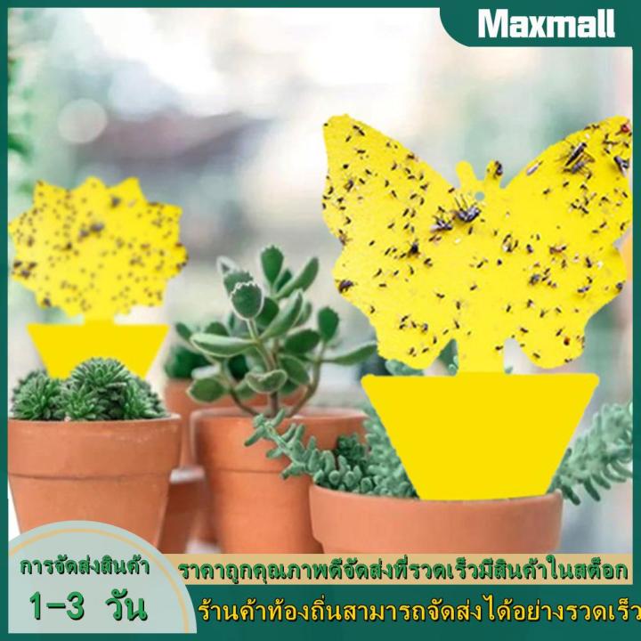 [Maxmall9]10pcs Dual-Sided Gnat Catcher Non-Toxic Dual-Sided Yellow ...