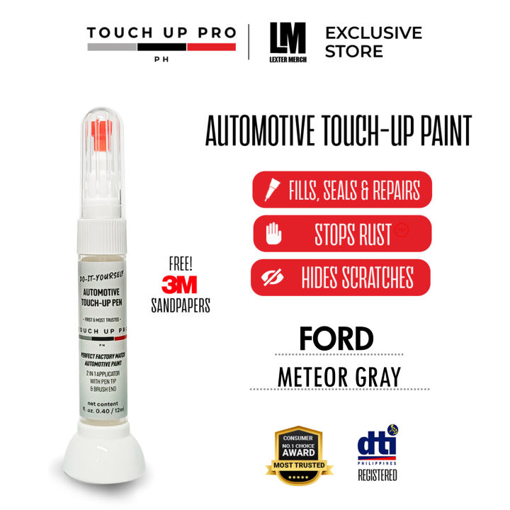 Meteor Gray Ford Touch up Pro Permanent Touch Up paint | Lazada PH