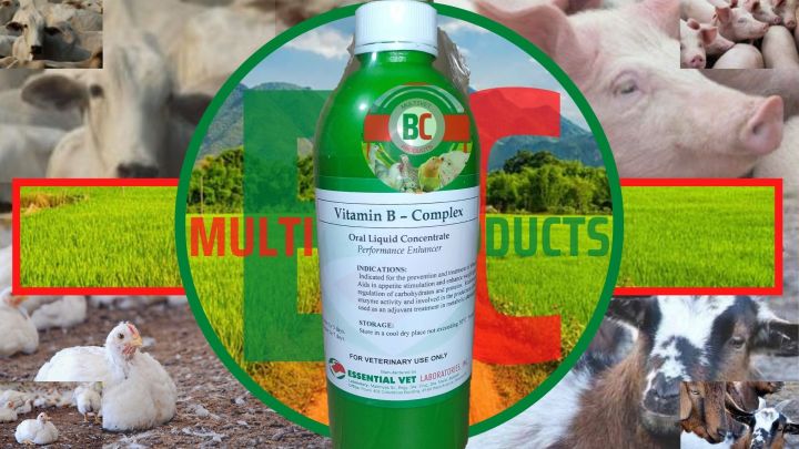 ESSENTIAL VET, VITAMIN B - COMPLEX 1LITER(Oral Liquid Concentrate ...