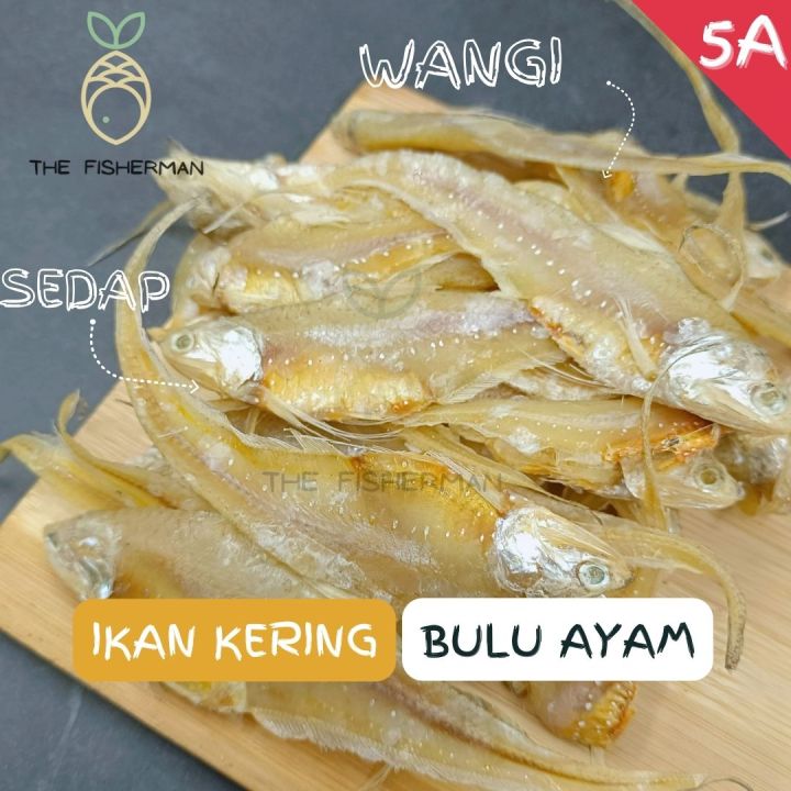 Ikan Masin Bulu Ayam (1KG/500G/250G) Rangup 100% 白身凤尾咸鱼 - The Fisherman ...