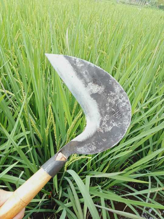 ARIT RUMPUT FULL BAJA ARIT ANTIK SUPER MANTAP | Lazada Indonesia