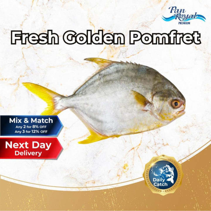[PAN ROYAL] Fresh Golden Pomfret (400 - 500g +/-) | Lazada Singapore