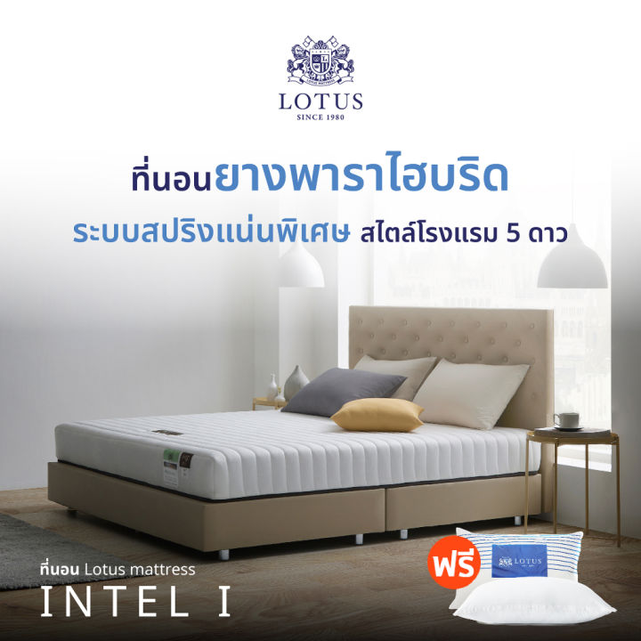 LOTUS รุ่น Intel I ที่นอนยางพาราแท้100% แก้ปวดหลัง สวรรค์ของคนนอนแน่น ...