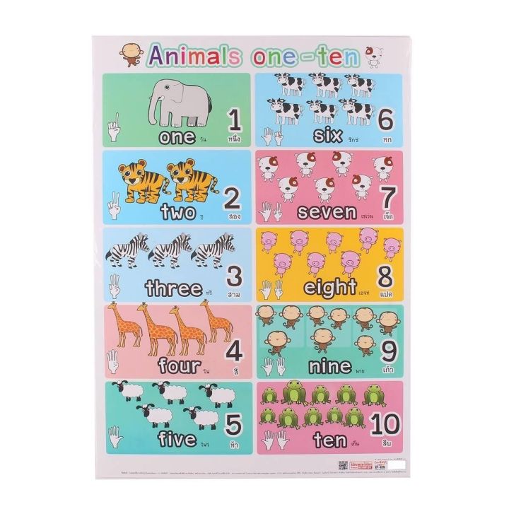 SuperSales - X3 ชิ้น - โปสเตอร์พลาสติก ระดับพรีเมี่ยม Animals one-ten ...