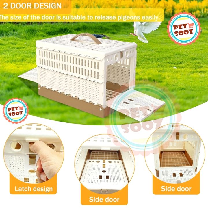 Foldable Pigeon Training Box Tbox Cage Plastic Pigeon Cage Loft | Lazada PH