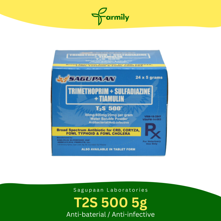 T2S 500 5g | Lazada PH