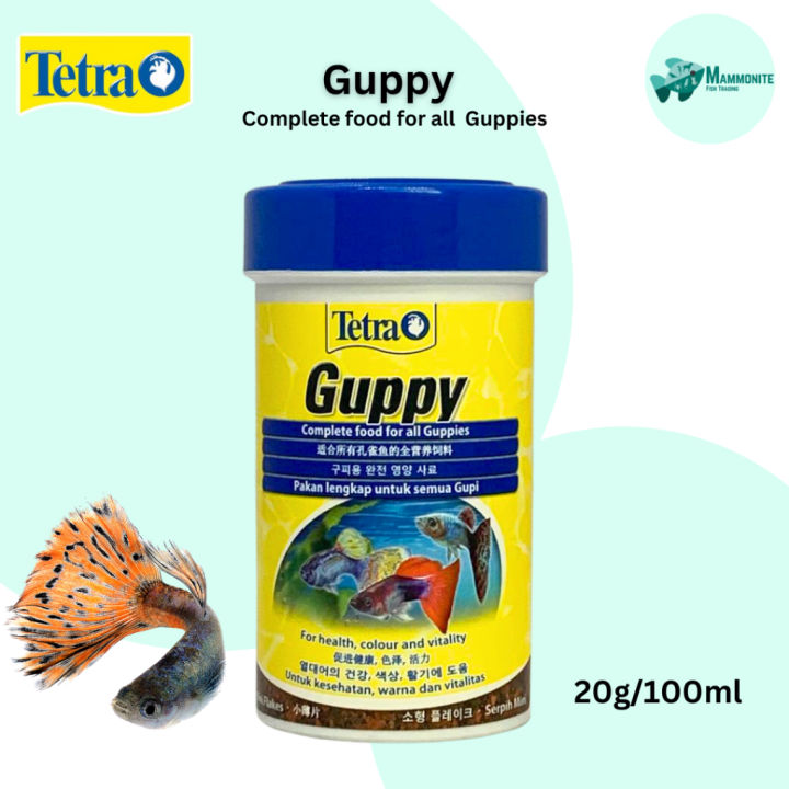 Guppy Food for Health, Color, and Vitality 30g/100ml | Lazada PH