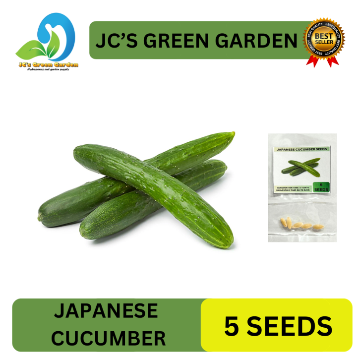 VALUE PACK (5 SEEDS) OPV JAPANESE CUCUMBER SEEDS/HYBRID/LONG GREEN ...