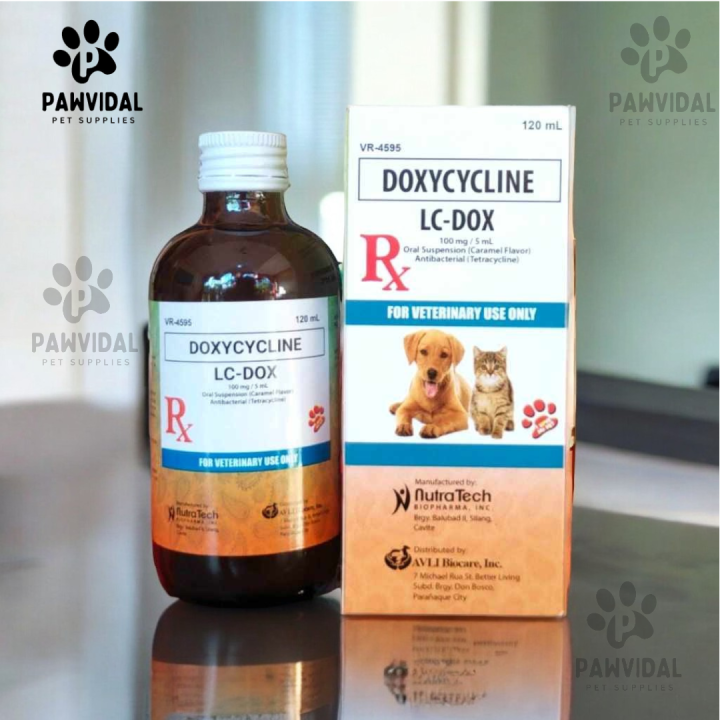 LC Dox Suspension: Doxycycline 60mL/120mL | Lazada PH