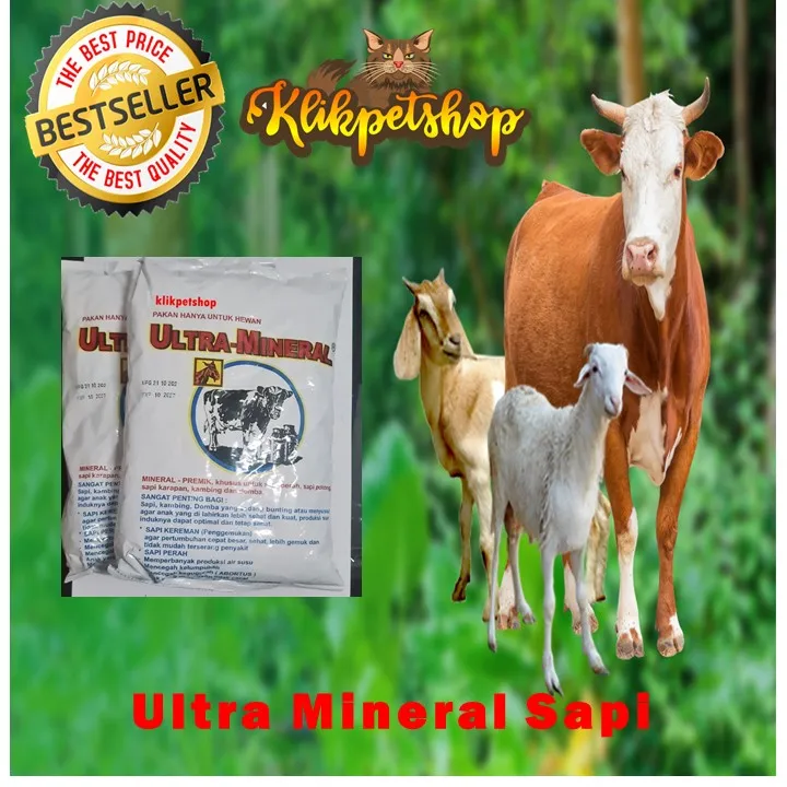 Ultra Mineral Premik Sapi Penggemukan,Produksi Susu,Untuk Ketahanan ...