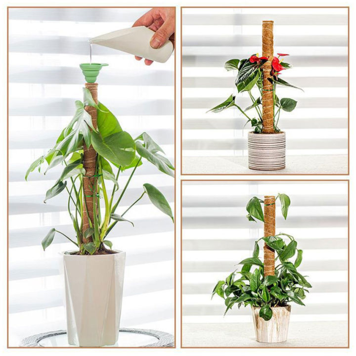Coconut Poles Plant Cages Climbing Pole Moss Stick Plant Climbing Rod ...