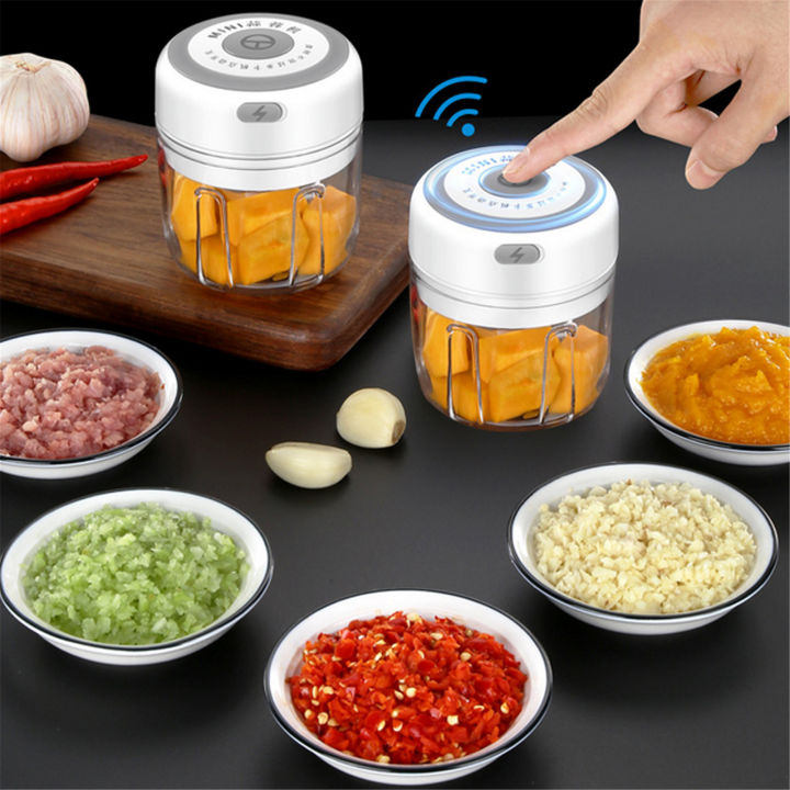Yo Electric Mini Food Chopper For Garlic Meats Vegetable Fruits Nuts ...