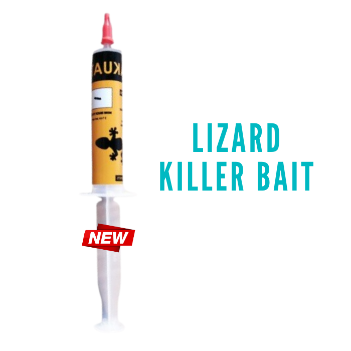 Ubat Umpan Lipas Semut Cicak 10G PEST ASIA Cockroach Ant Lizard Bait ...