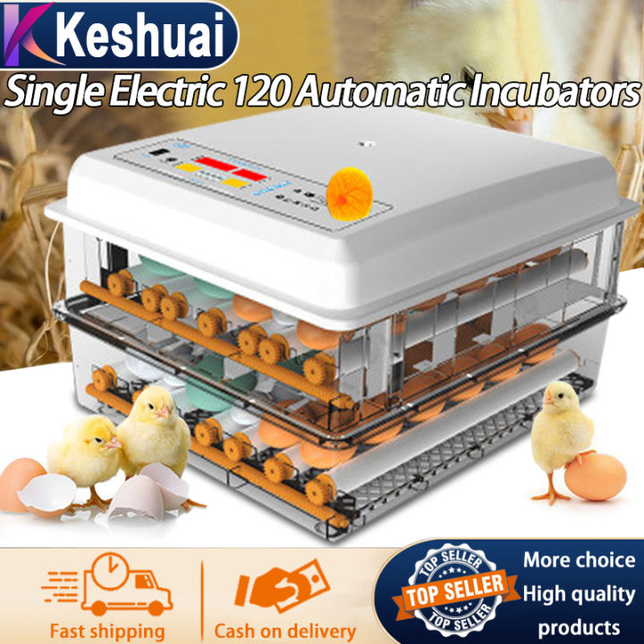 220V 22 Eggs Incubator Digital Automatic Egg Incubator Fully Automatic ... 220V 22 Eggs Incubator Digital Automatic Egg Incubator Fully Automatic ...