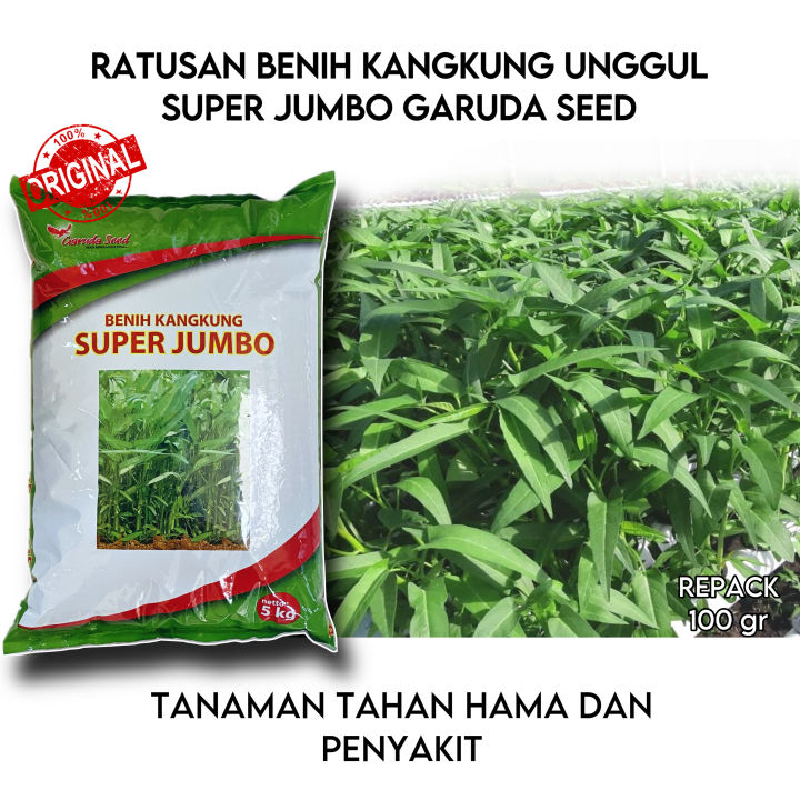 Benih Kangkung SUPER JUMBO Isi 100 gram Repack Garuda Seed | Lazada ...