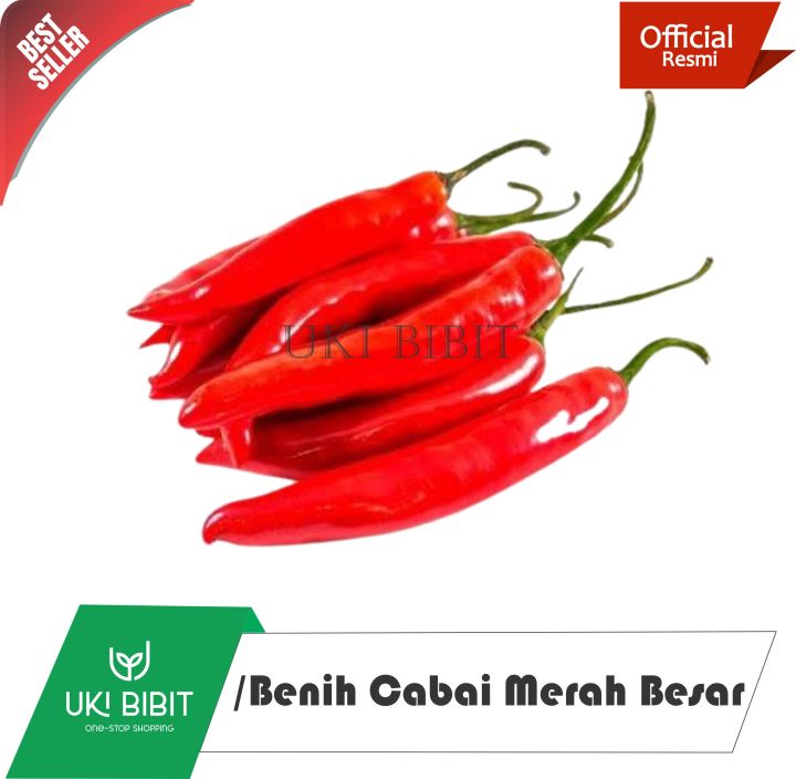 ( 20 Butir ) Benih Cabai Merah Besar | Lazada Indonesia