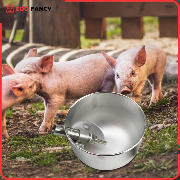Zoo Fancy Automatic Pig Drinking Water Bowl Supplies Dispenser Waterer ...