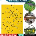 [TOPACE MALL] 30/50/100 Pcs Sticky Traps Double Sided 8x6/8x4 Inch Gnat ...