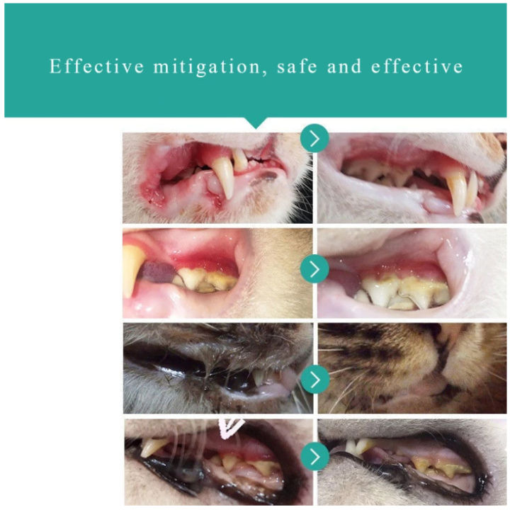 【Versatile】 Dog And Cat Stomatitis Spray 30ml Cat Drooling Stomatitis ...