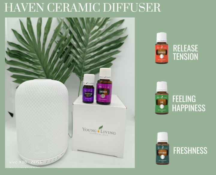 Haven Ceramic Diffuser | Lazada