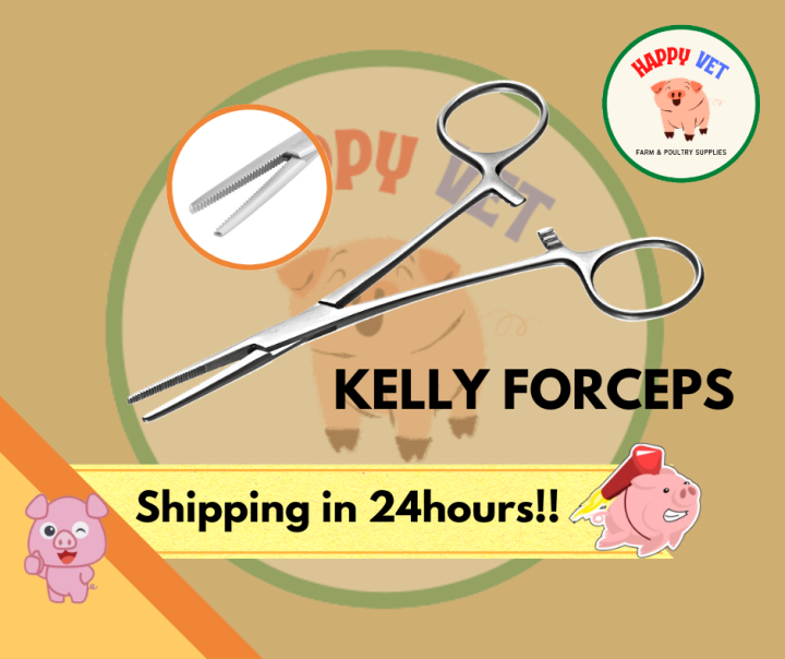 Kelly Forceps (STRAIGHT) Kelly Forceps This instrument can be used as a ...