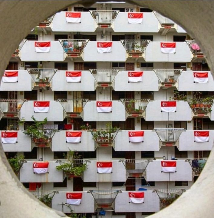 [NDP 04] [L] Singapore Hanging Flag | HDB Gate Pole Hanging | Dual ...