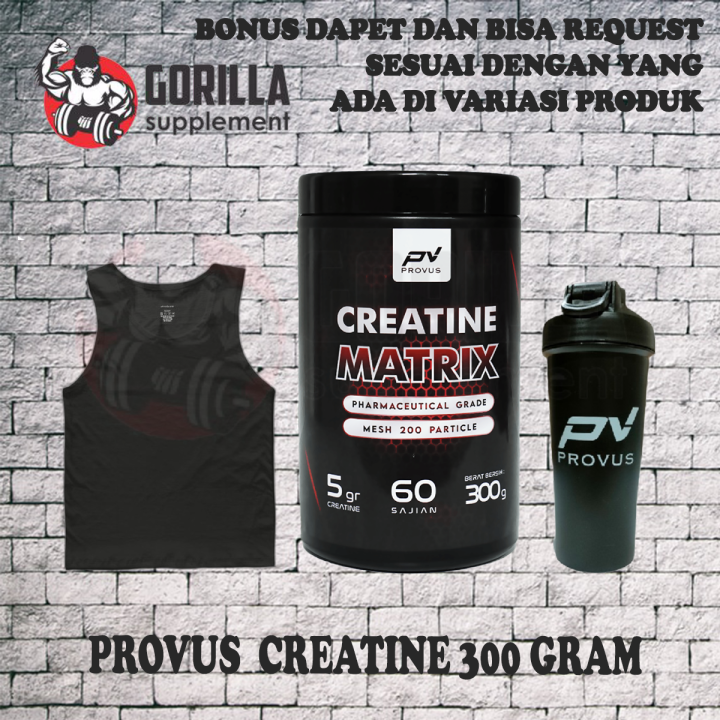 PV PROVUS Creatine Matrix 300 Gram gr Creatine Monohydrate Creapure ...
