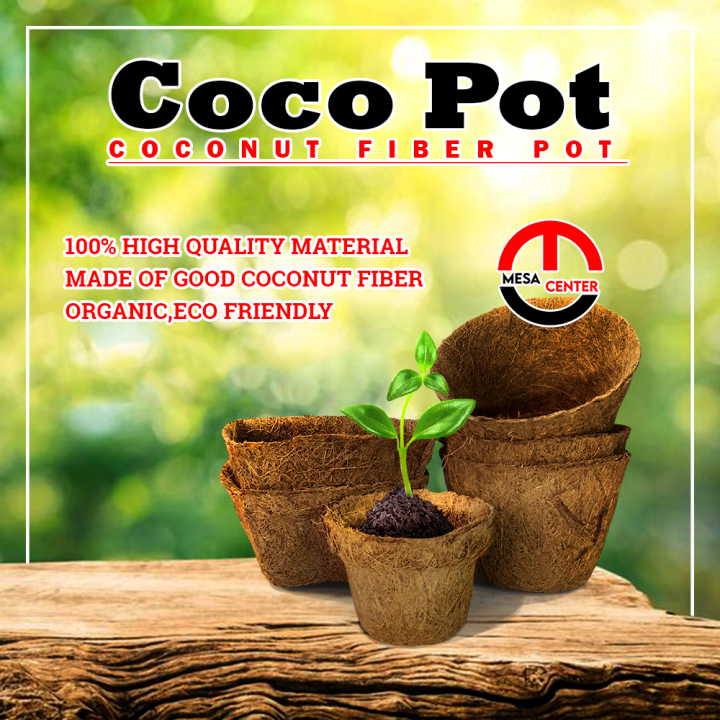Coco pot - Small And Large Organic Propagation Pot | Lazada PH