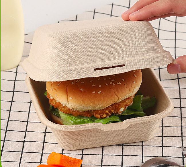 PAPER PULP FOOD/DESSERT/BURGER PACKAGING TAKEAWAY BOX ( 10 PCS ) | Lazada