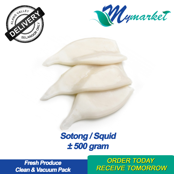 [Delivery Klang Valley] Sotong Segar (Fresh Squid) ±500gm | Lazada