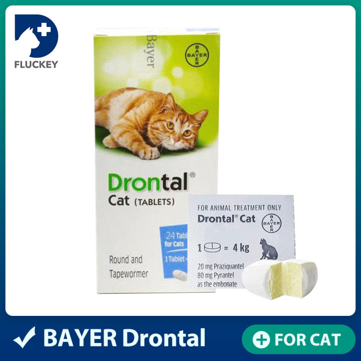 Drontal Cat Tablet for Treatment and Control of IntestinalWorms in Cats ...