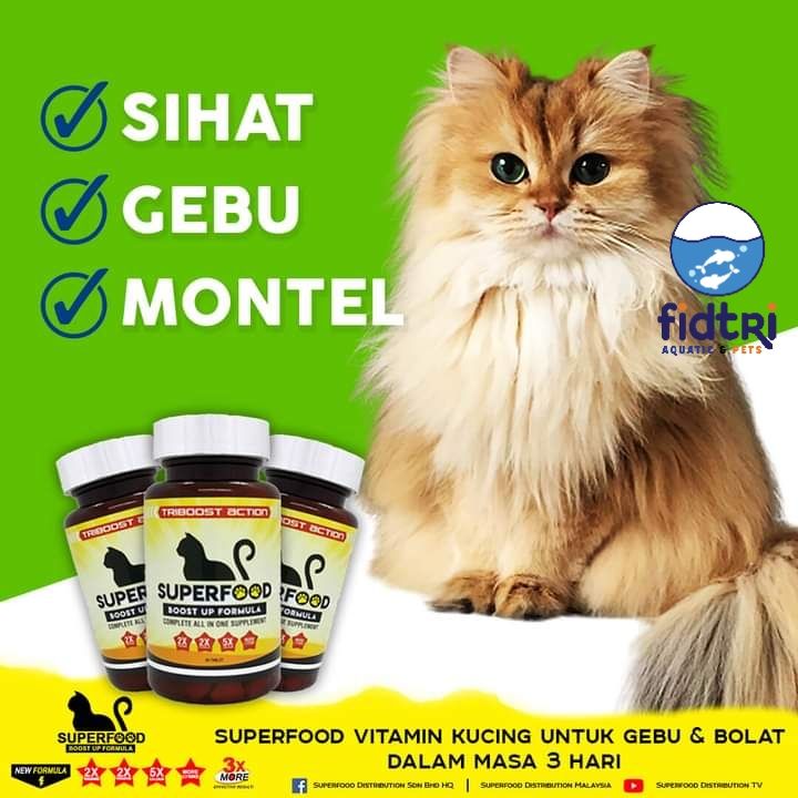 SUPERFOOD BOOST UP FORMULA VITAMIN UNTUK KUCING SUPPLEMENT FOR CAT ...