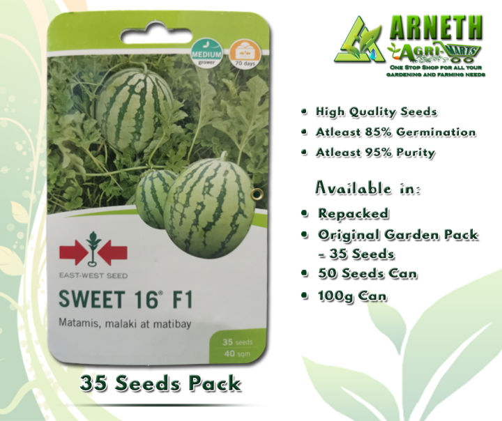 EASTWEST SWEET 16 F1 WATERMELON SEEDS BY EAST WEST | Lazada PH