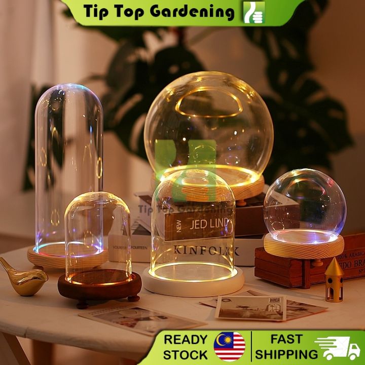 TRANSPARENT GLASS COVER WITH WOODEN BASE PREVENT DUST BOX STATUE ...