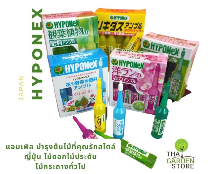 Hyponex Ampoel ไฮโปเน็กซ์ แอมเพิล อาหารเสริมชนิดน้ำปักลงกระถาง | Lazada.co.th