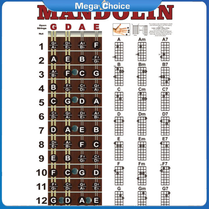 MegaChoice【Fast Delivery】Mandolin Fretboard Notes Chart Finger ...