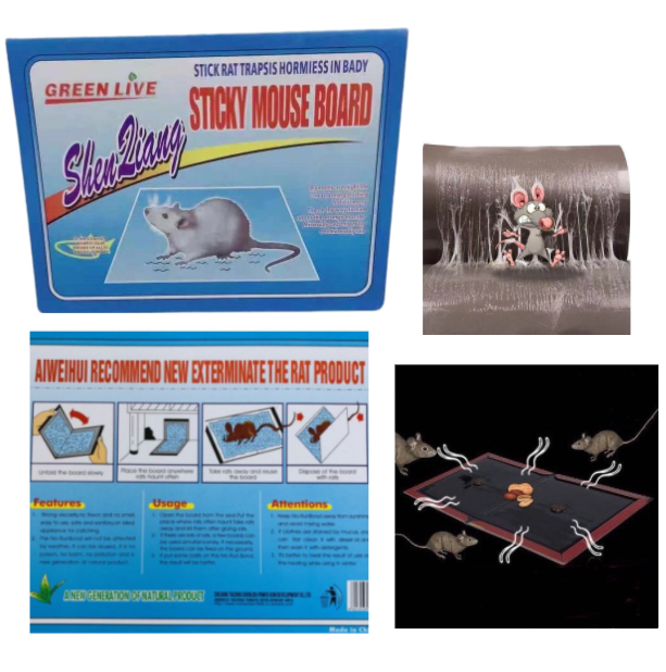 Mouse Land Sticky Mouse Board Mouse Glue 10pcs | Lazada PH