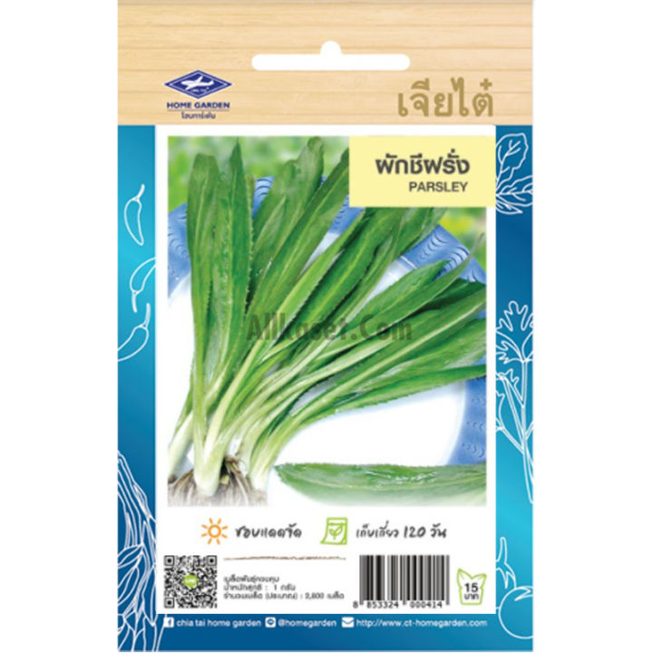 เมล็ดพันธุ์ ผักชีฝรั่ง เจียไต๋ | Lazada.co.th