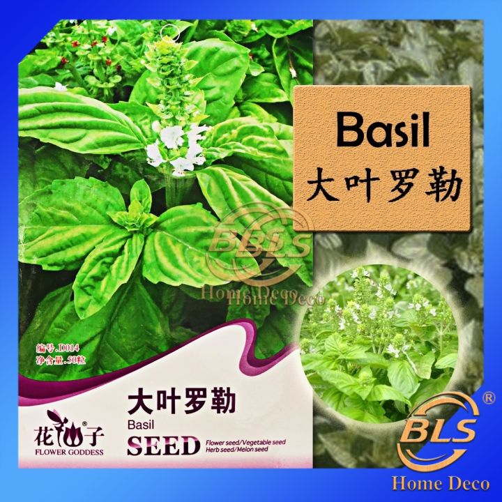 【EXPIRED】BIJI BENIH D014 BASIL FLOWER GODDESS VEGETABLE FLOWER FRUIT ...