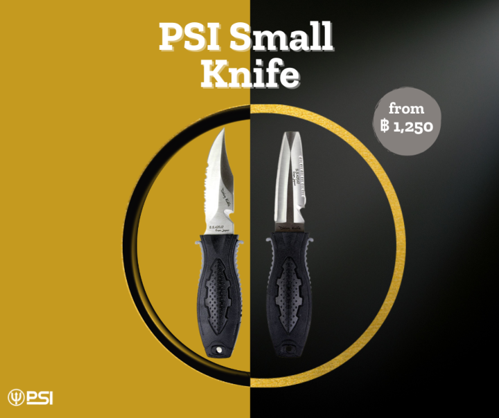 PSI Small Knife - มีดดำน้ำ มีดดำน้ำลึก สแตนเลส สวย ดิบ แข็งแรง ขนาดเล็ก ...
