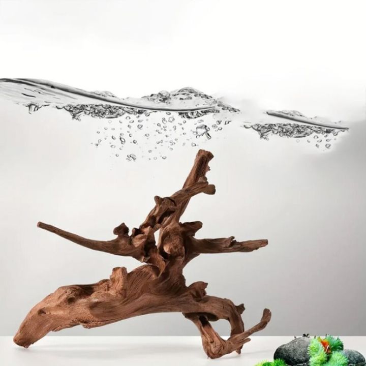 ZEEBR Irregular Shape Coral Wood Natural Wood Driftwood Trunk Creative ...