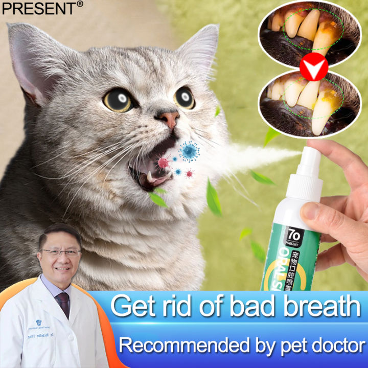 Pet Oral Hygiene Leba III Natural Dog & Cat Dental Spray - Herbal Teeth ...