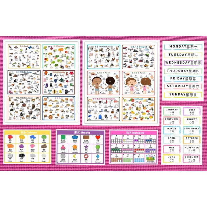 [Flash Card] A4 Size laminated poster | Cognition English Words Card ...