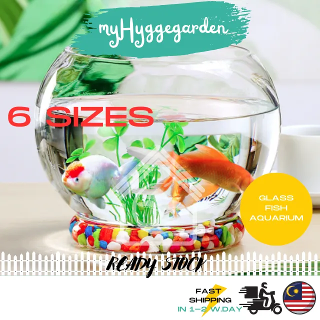 [GLASS] Transparent Round Clear Fish Bowl Aquarium Home Office Display ...